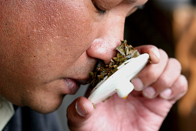 To choose tea, you need to have a good nose – Discovering Tea