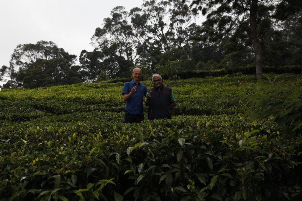 My friend Anil – Discovering Tea
