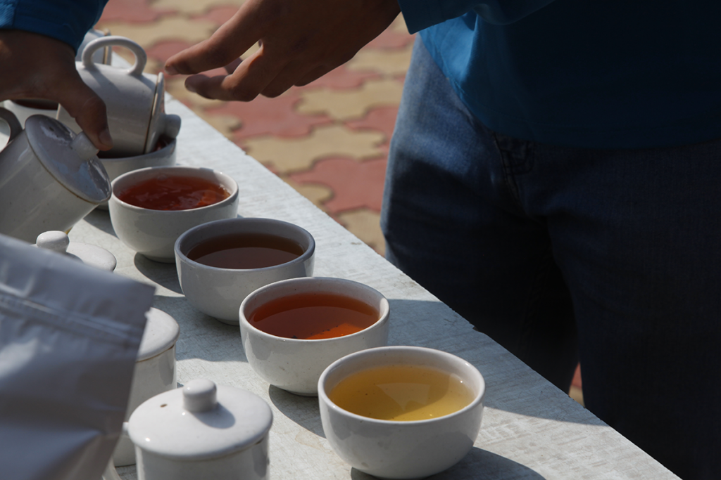 A hundred teas a day – Discovering Tea