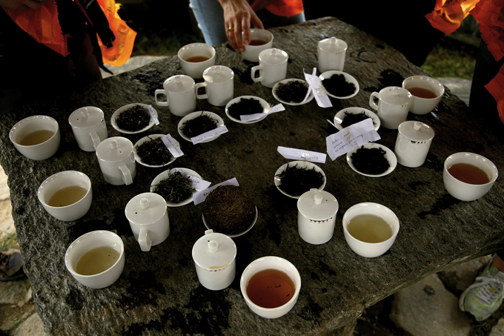 Tasting tea outdoors – Discovering Tea