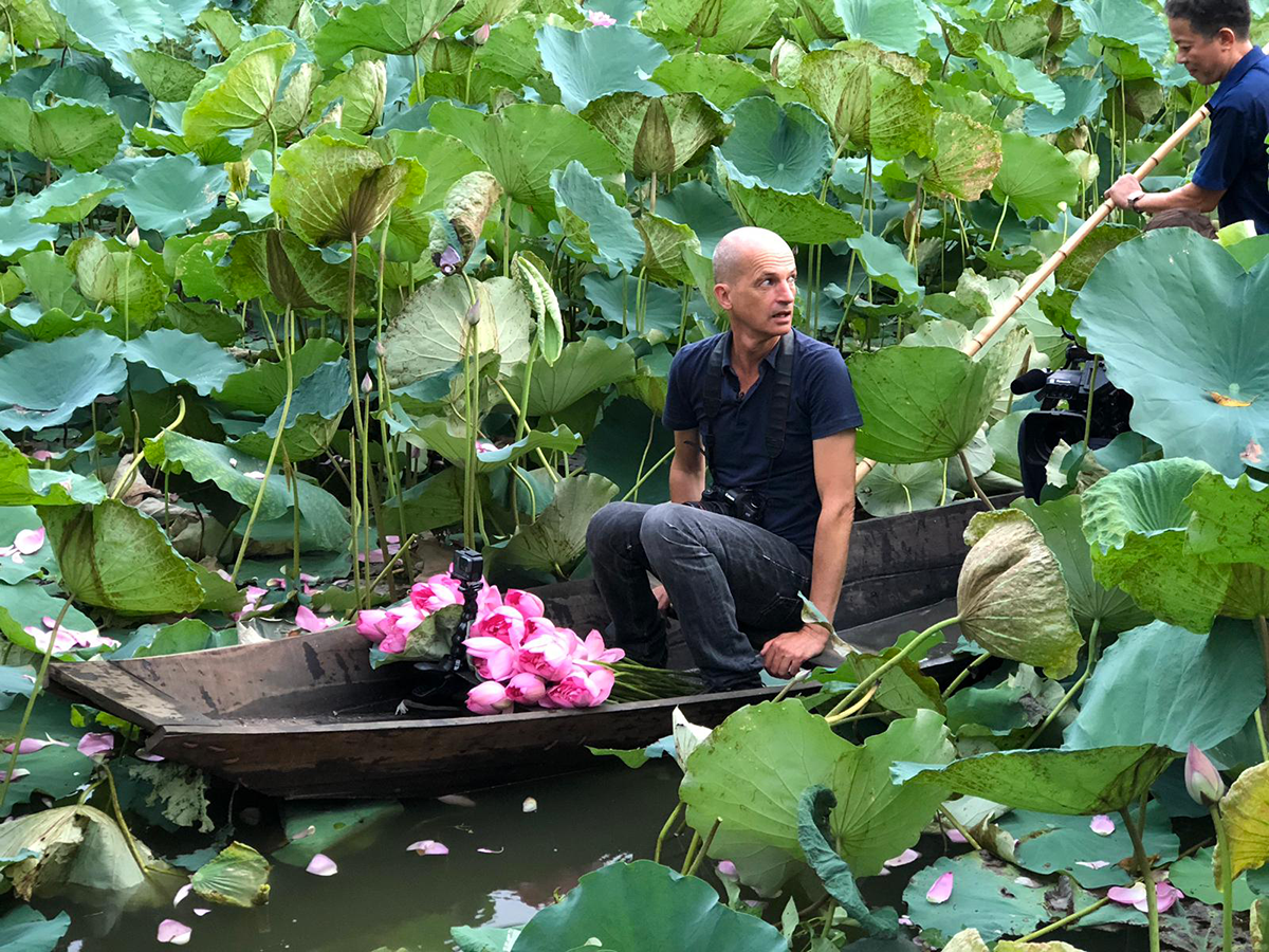 Vietnamese Lotus Flower Tea | Best Flower Site