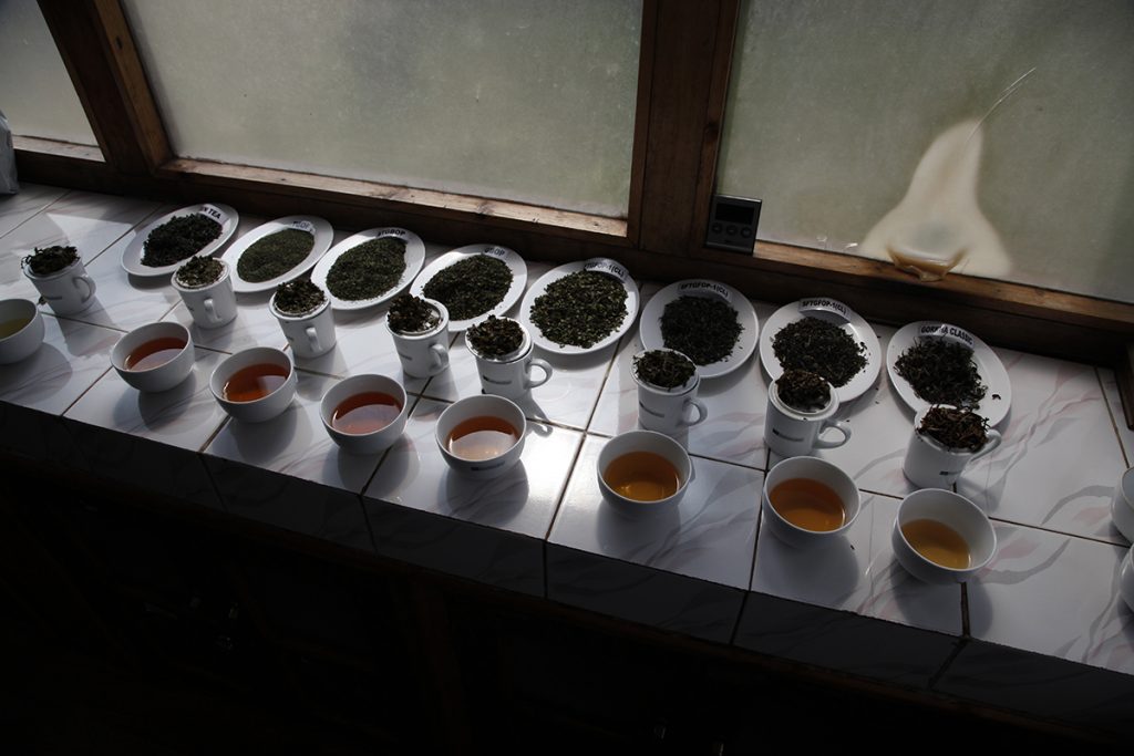 To spit or to swallow – Discovering Tea